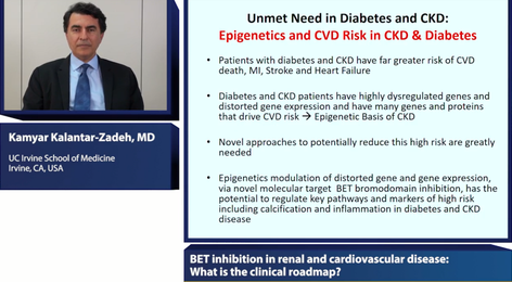 The high risk diabetes patient: What is the need for novel approaches ...
