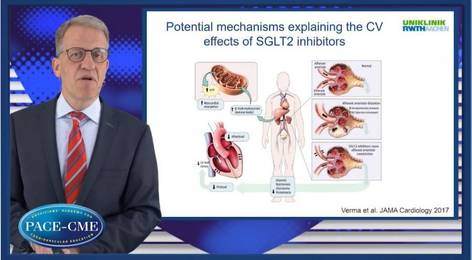 Targeting SGLT2 in Clinical Cardiology: Exploring the Benefits in CV ...