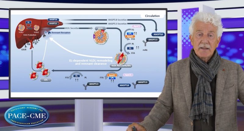 Addressing the unmet needs in LDL-c lowering; what can we expect ...