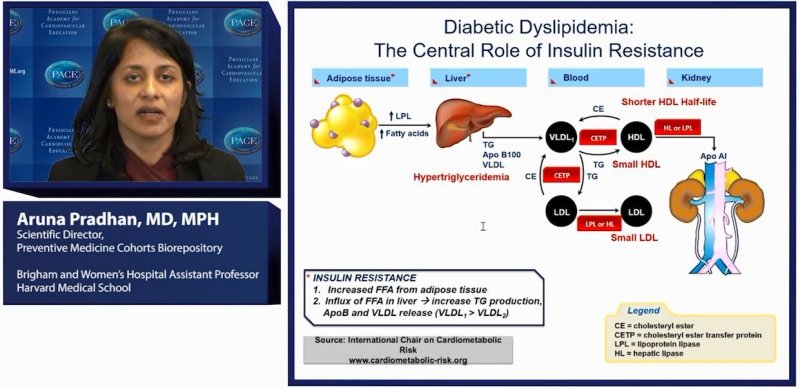 Diabetic dyslipidaemia and residual risk in the era of LDL control ...