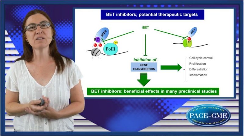 Epigenetic mechanisms targeting ALP: A pathway for prevention of ...