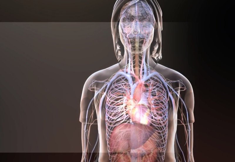 Epigenetics: A closer look at BET inhibition - PACE-CME
