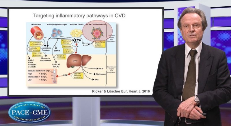 Inflammation and anti-inflammatory therapy in CVD - PACE-CME