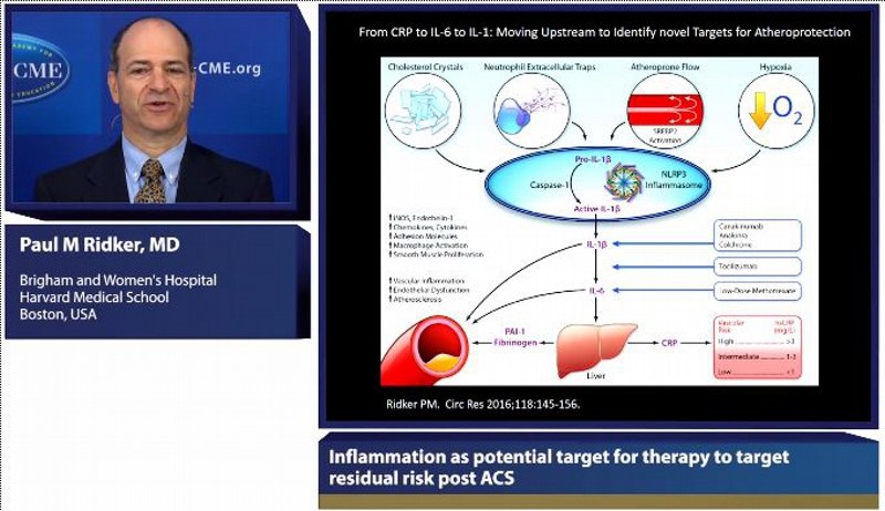 Inflammation as potential target for therapy to target residual risk ...