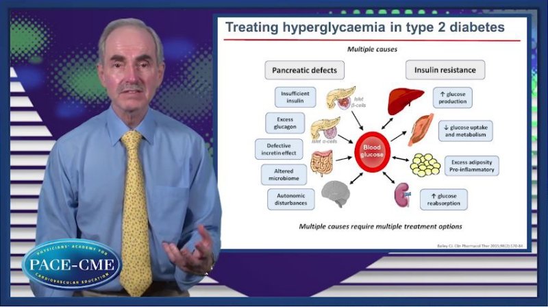 Key classes of antidiabetic drugs – How do they work? - PACE-CME