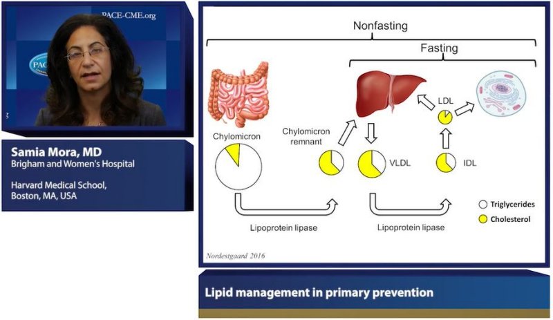 Lipid management in primary prevention: Challenges in the era of low ...