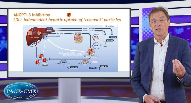 Optimizing treatment for patients with HoFH - PACE-CME