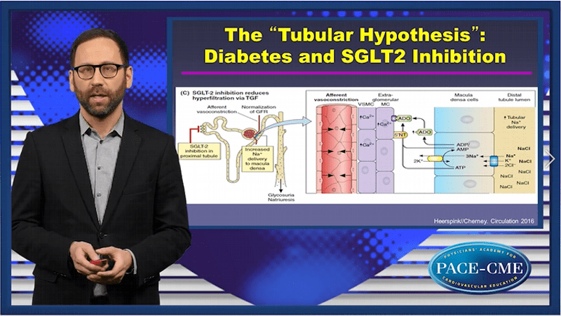 The clinical landscape of managing patients with CKD - PACE-CME