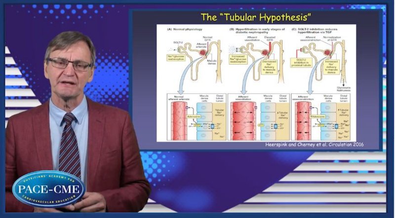 Understanding CKD and SGLT2-inhibition: What are the key mechanisms ...